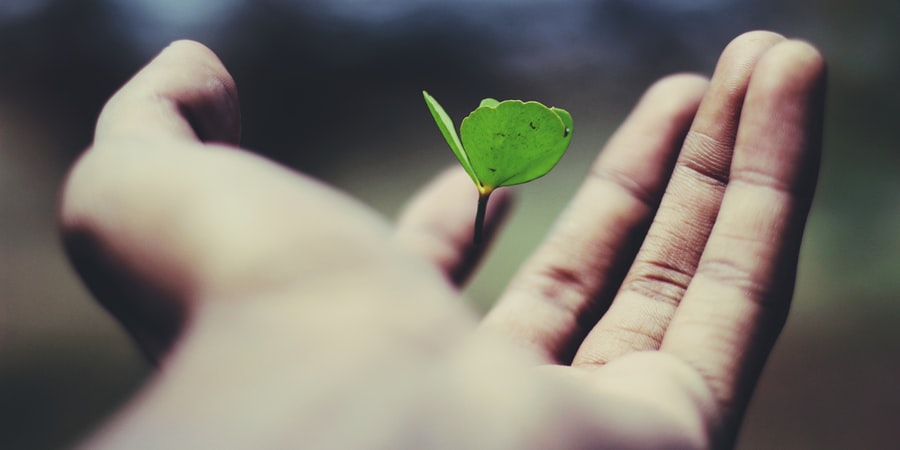 Growth Focus List: Here are the top stocks and ETFs with high growth ...
